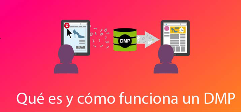 DMP qué es y para qué sirve - Making Science