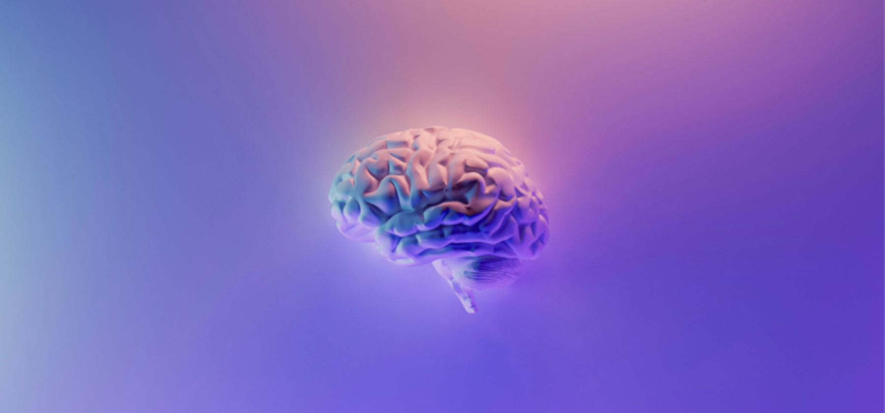 UX/UI tips to improve your website - Making Science