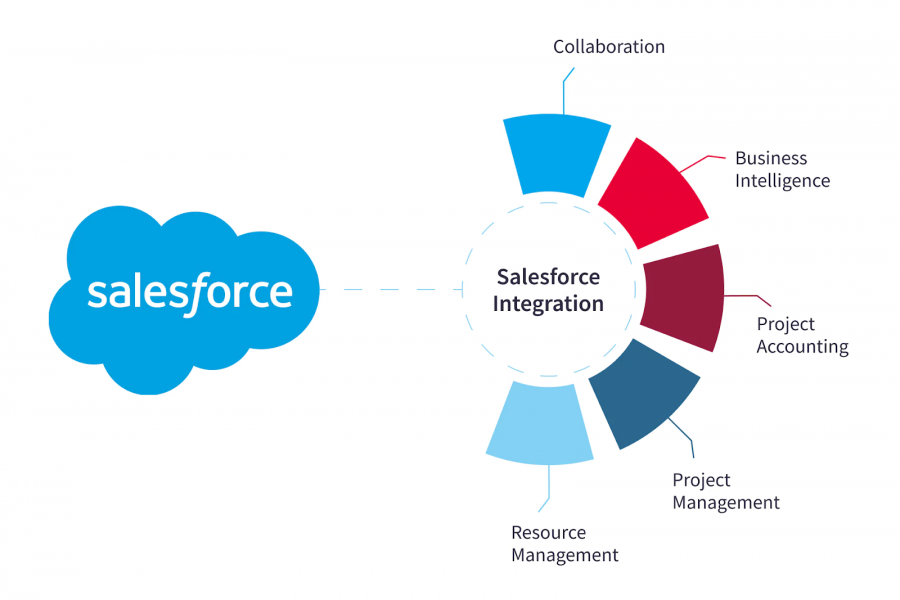 Salesforce: The Backbone of a Data-Driven Business Revolution - Making Science